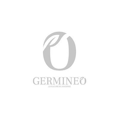 Engrais biostimulant RHIZOMAX | GERMINEO